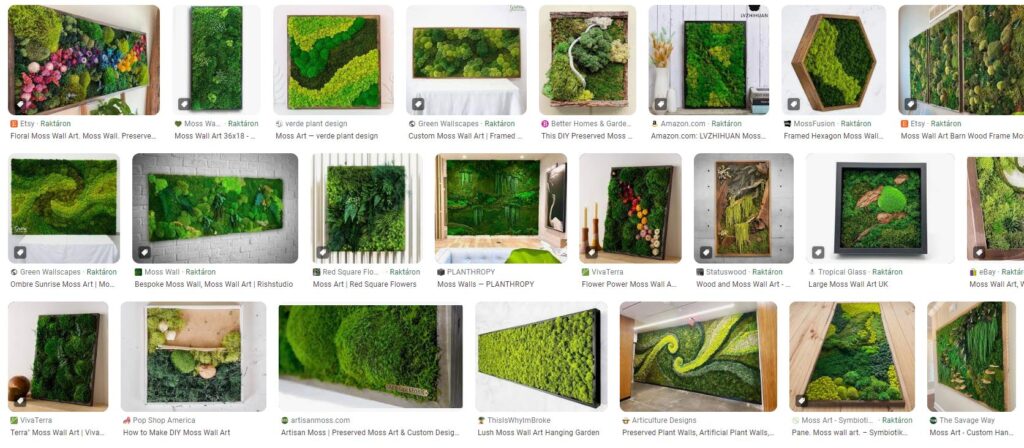 Élő moha fal? Zuzmó faldekoráció? Két különböző dolog! - Mini-Kert.hu