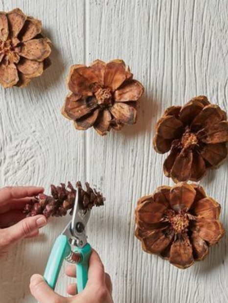 Toboz dekoráció karácsonyra, tavaszra... - Mini-Kert.hu